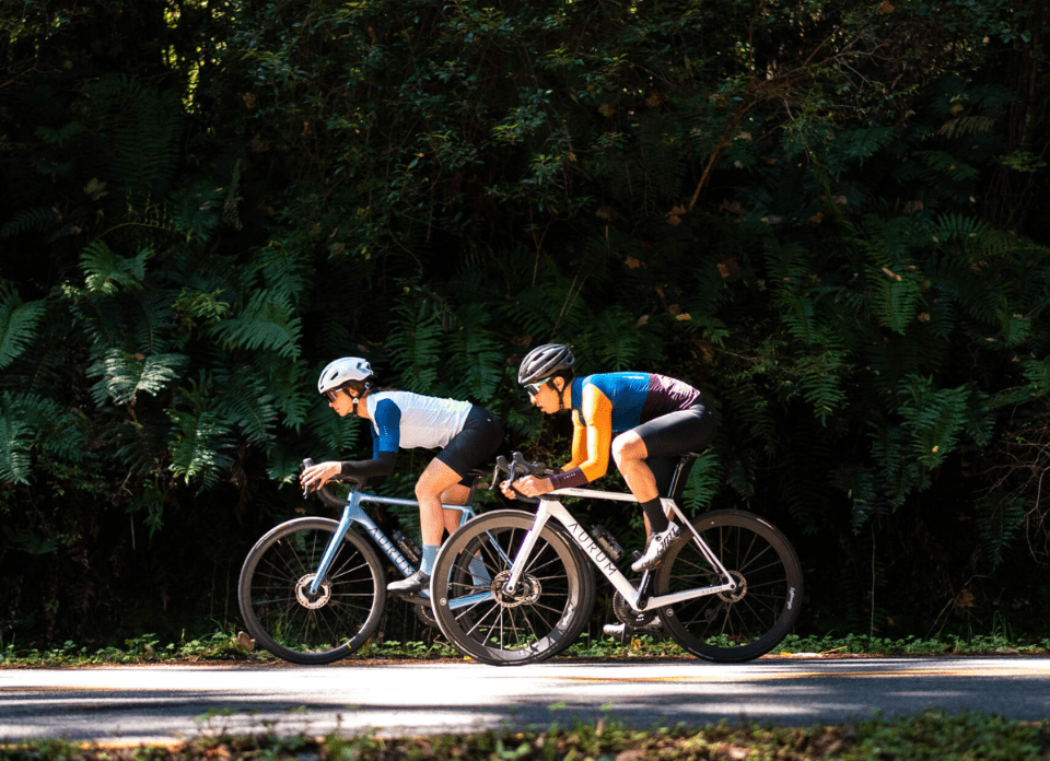 Tickets disponibles para el Monumento Cardenal Samoré 2022 – Ridechile.cl